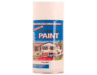 Touch Up Paint - 150g Spray Can – Outdoor Installs